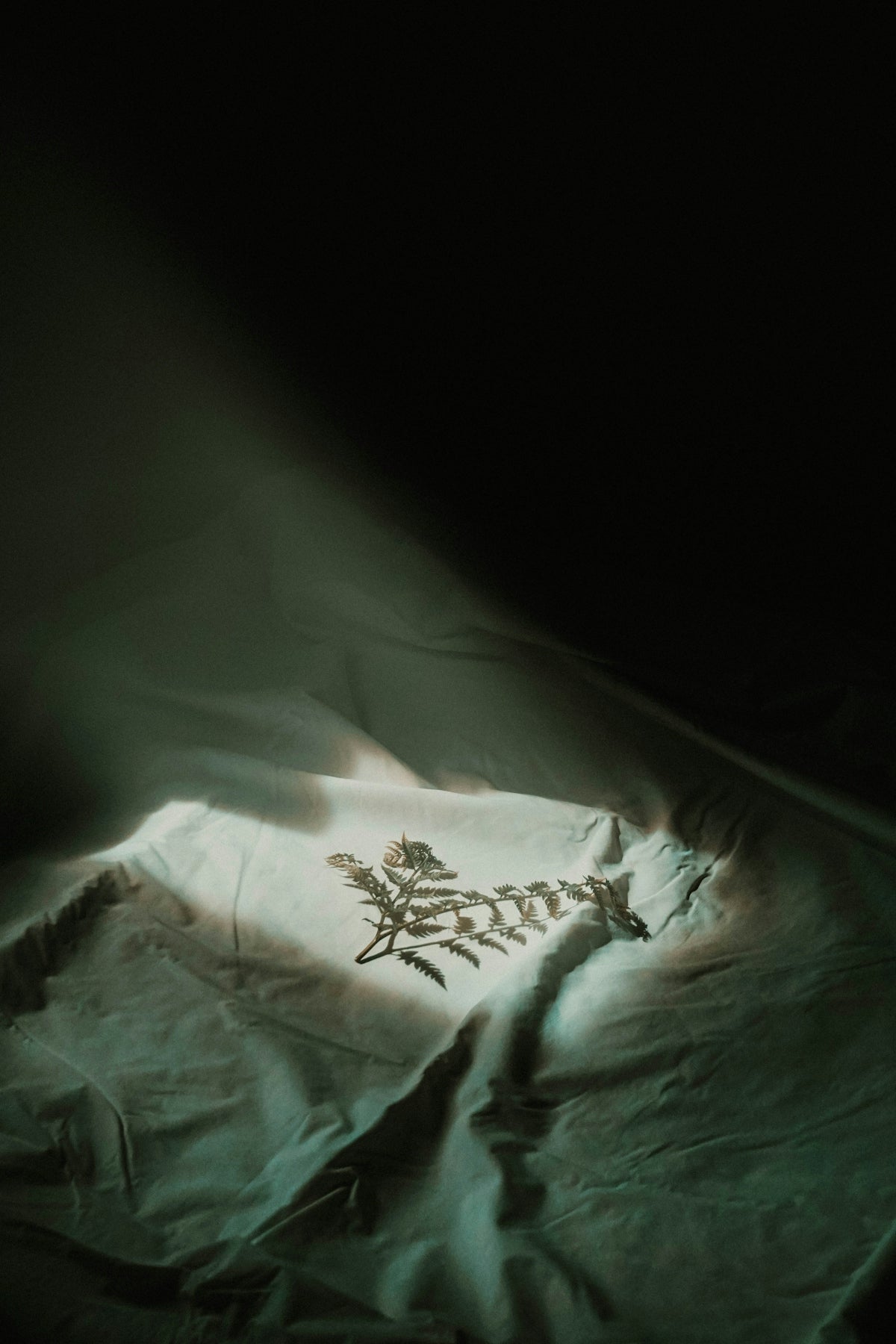 Upplev Mystiken bakom Death Note: En Djupgående Titt på Plush Figur L ...