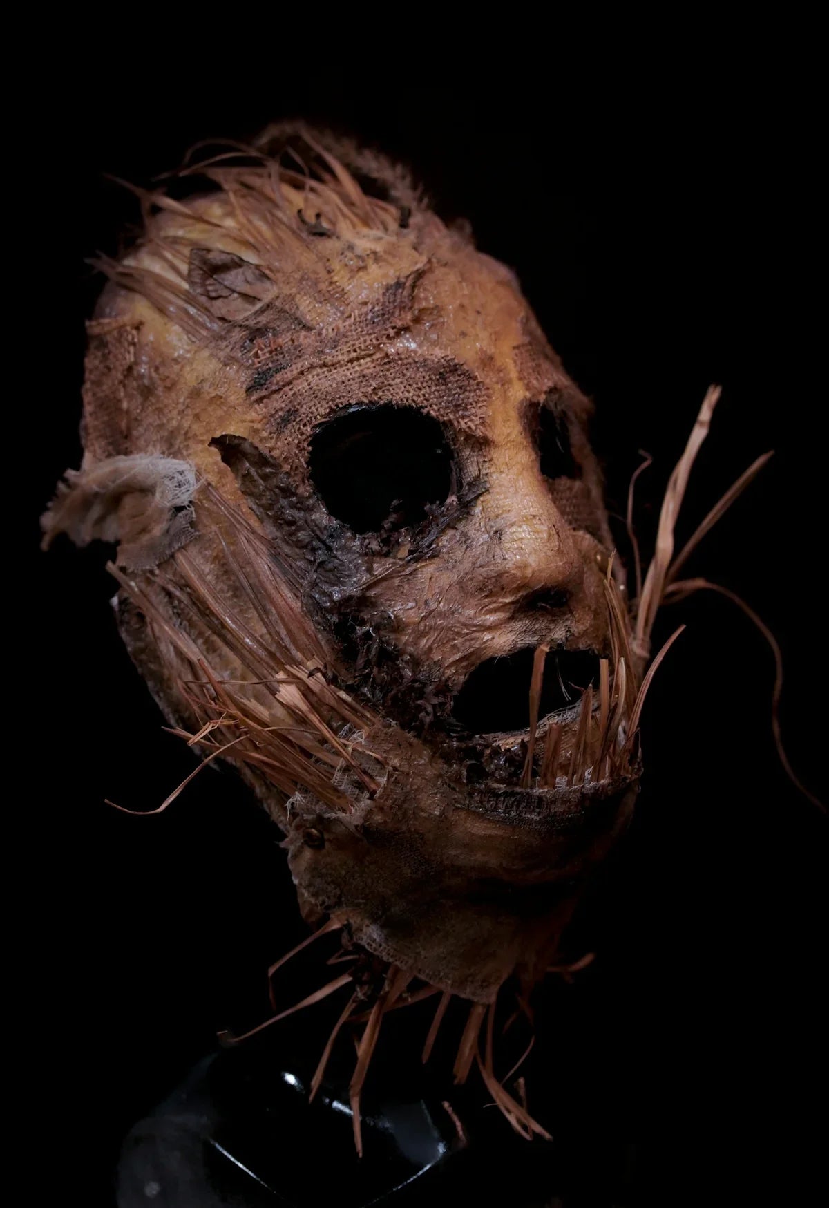 Upptäck Skräckens Mystik Med Mabry Monsters Kammare Av Skräck Shock ...